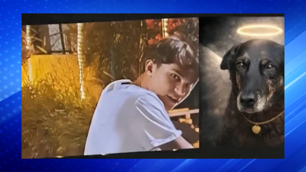 Zampieri Igor and Evandro Daux Mussi Boabaid Identified as Suspects in ...