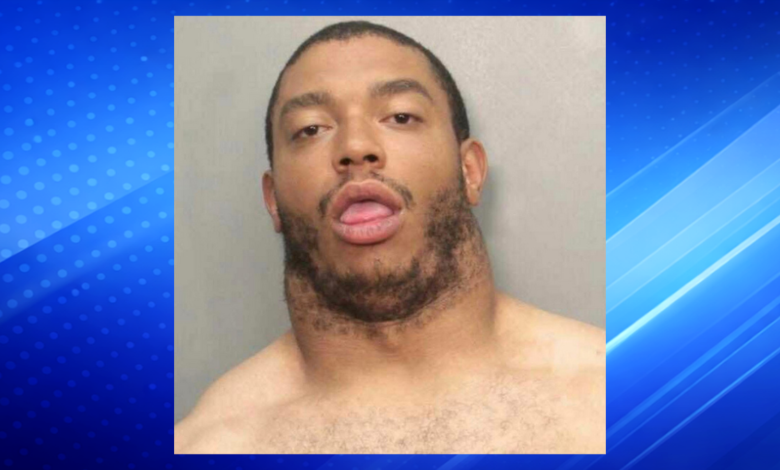 Seth Peter Kelly Arrested in Wood River Following Unusual Encounter ...